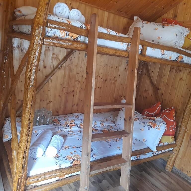 Casa la Pescăria lui Nelu Ohaba-Sibişel - Travelminit.ro