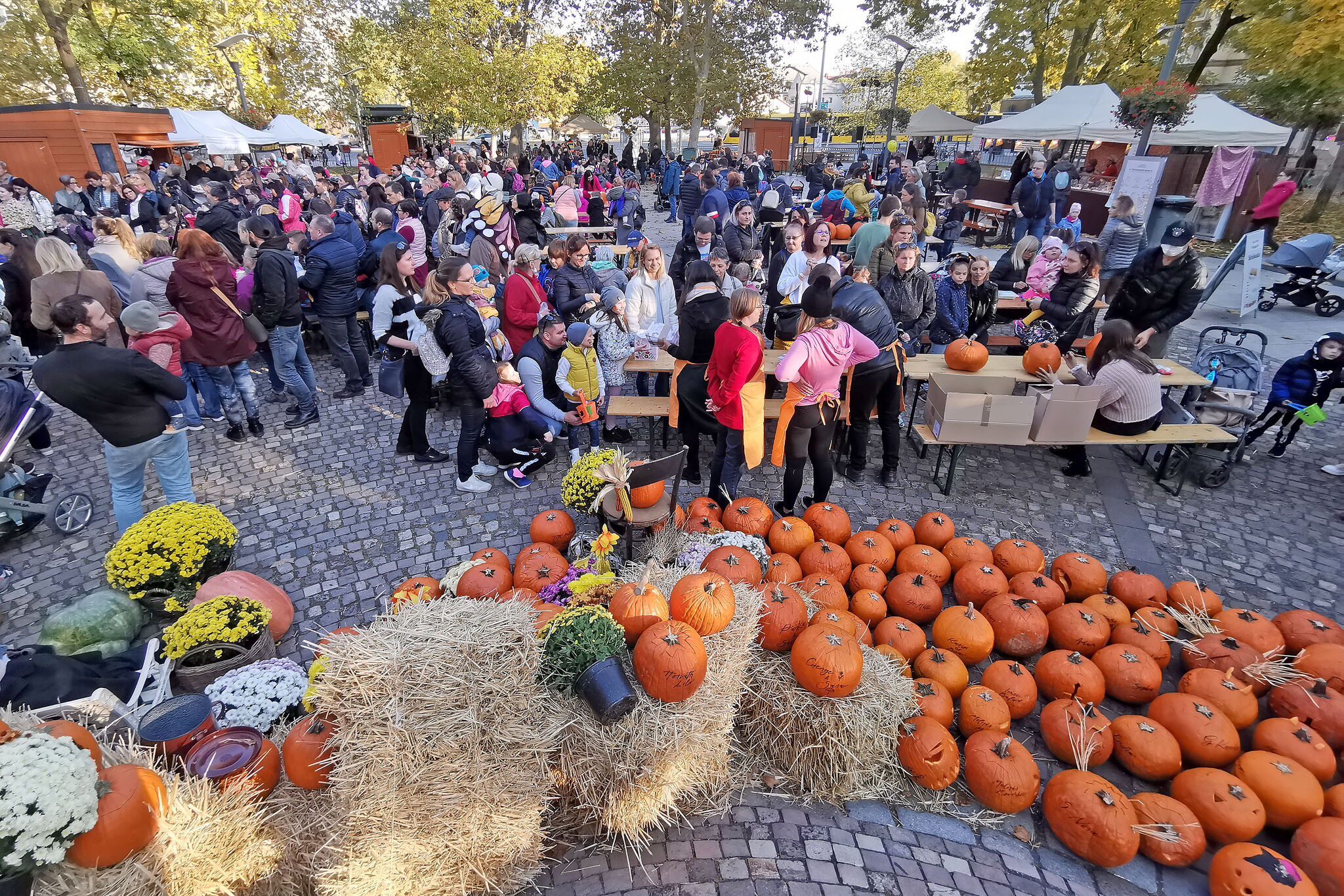 Vácduka látnivalók - 1 ajánlat véleményekkel - 7. oldal - Szallas.hu ...