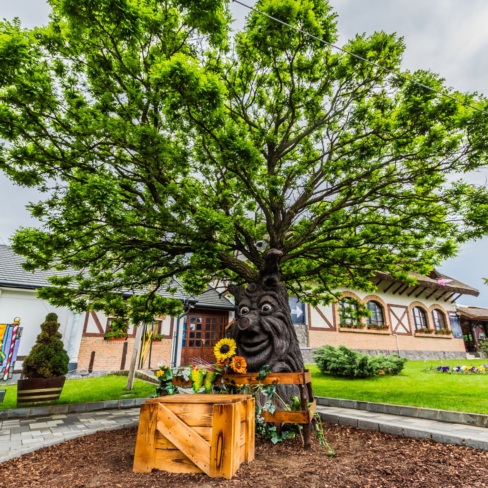 Debrecen pünkösdi programok - Vendégvélemények, képek, leírások ...