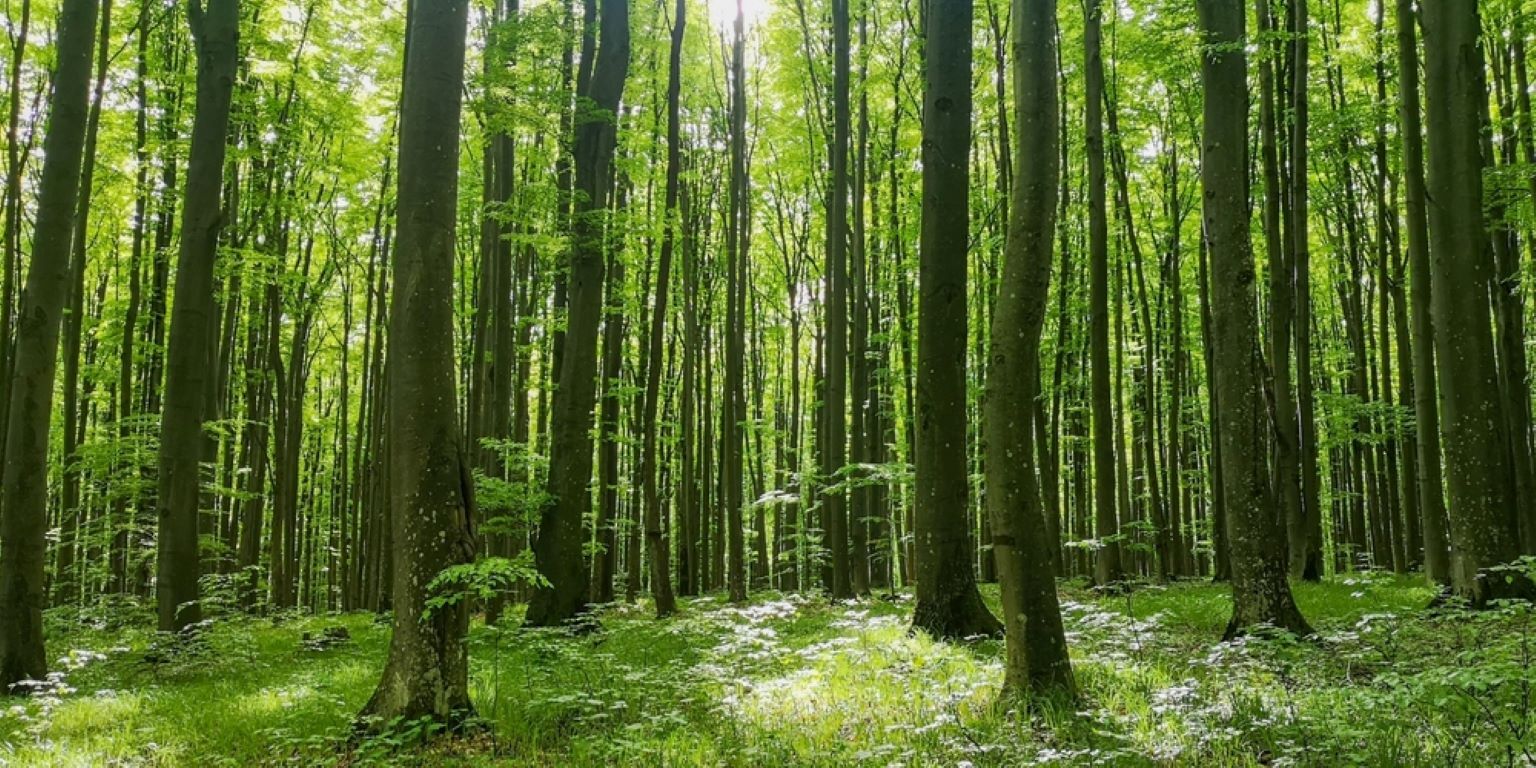 Varbó további programok - Vendégvélemények, képek, leírások - Szallas ...