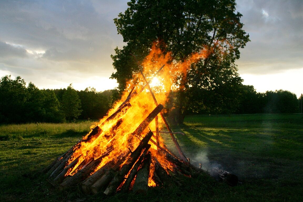 Felcsút gasztronómiai programok - Vendégvélemények, képek, leírások ...