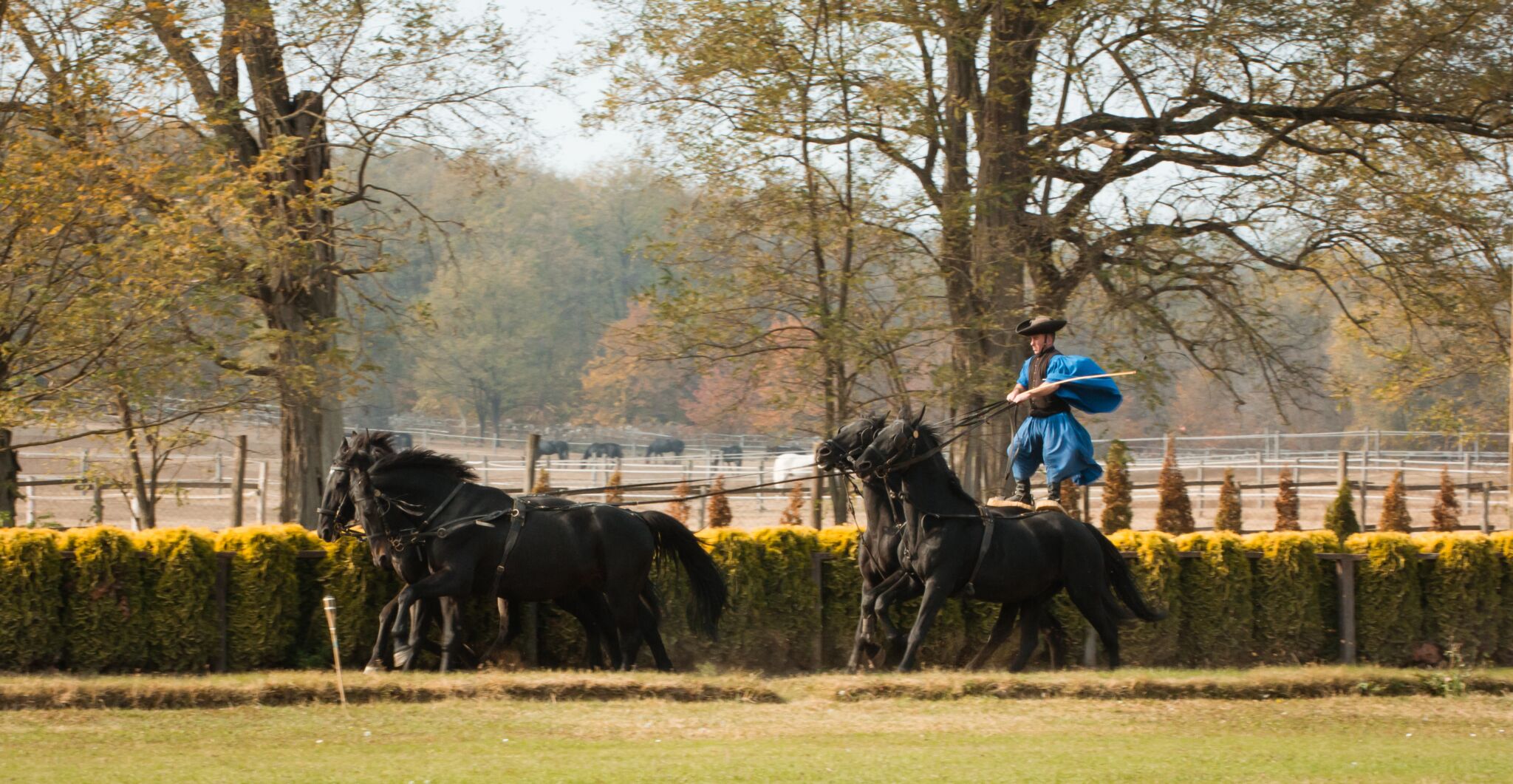 Domony további látványosságok - Vendégvélemények, képek, leírások ...