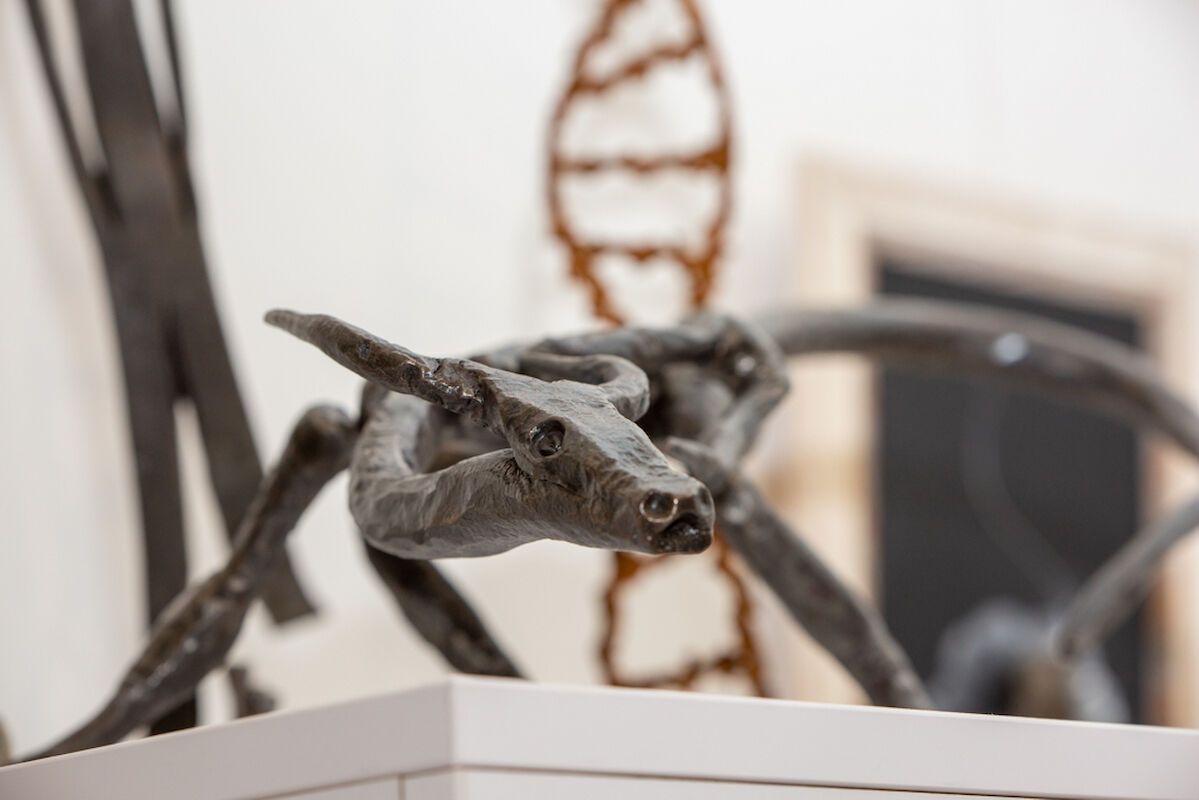 Eco Art Galéria és Bolt - Képek, Leírás, Vélemények - Szallas.hu programok