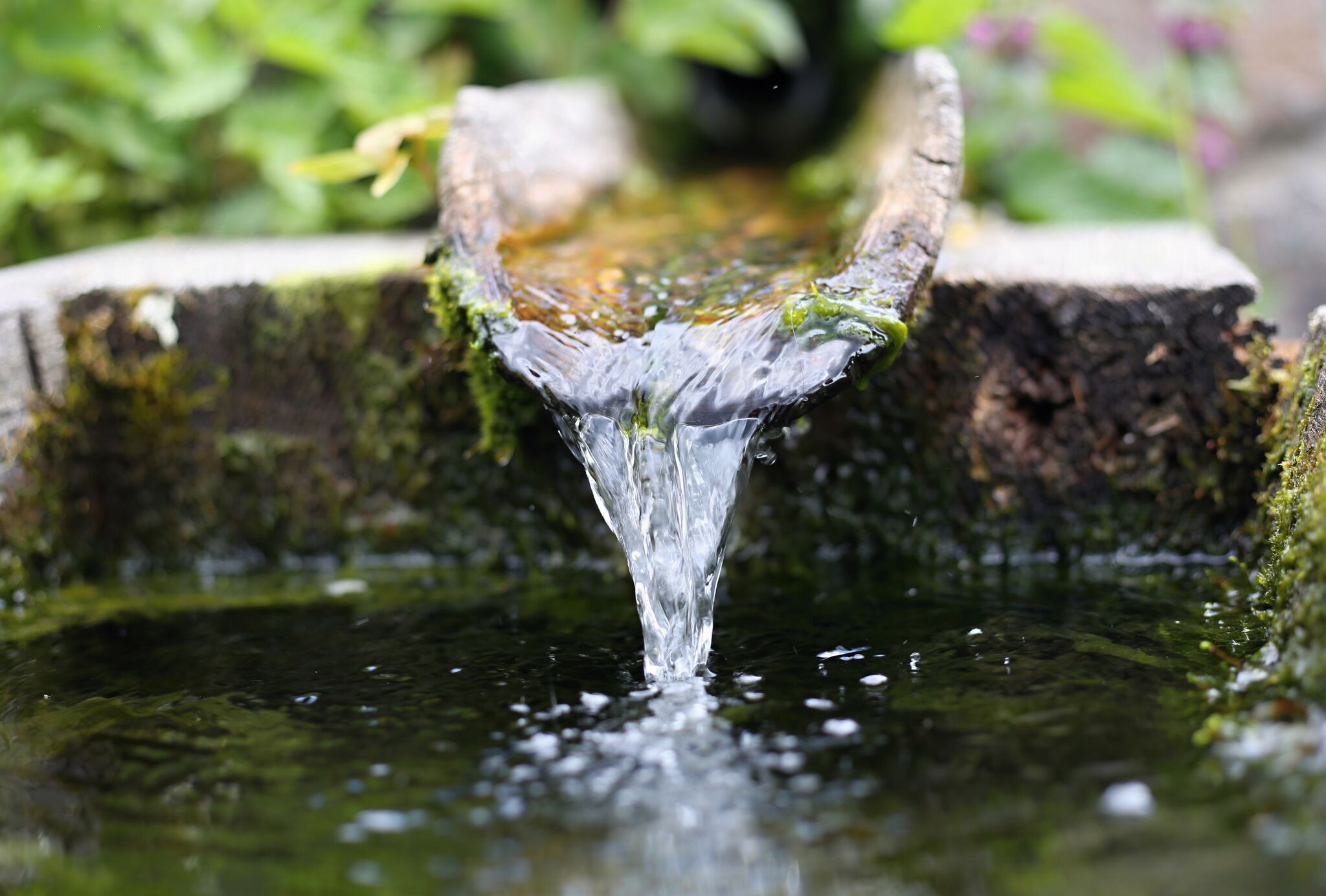 Mofetta - Képek, Leírás, Vélemények - Szallas.hu programok