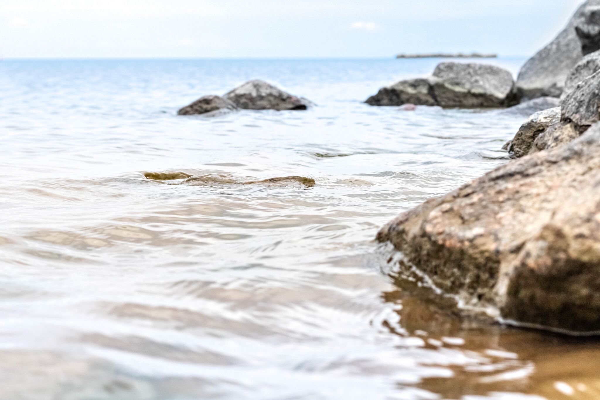 Zenta strand - Képek, Leírás, Vélemények - Szallas.hu programok
