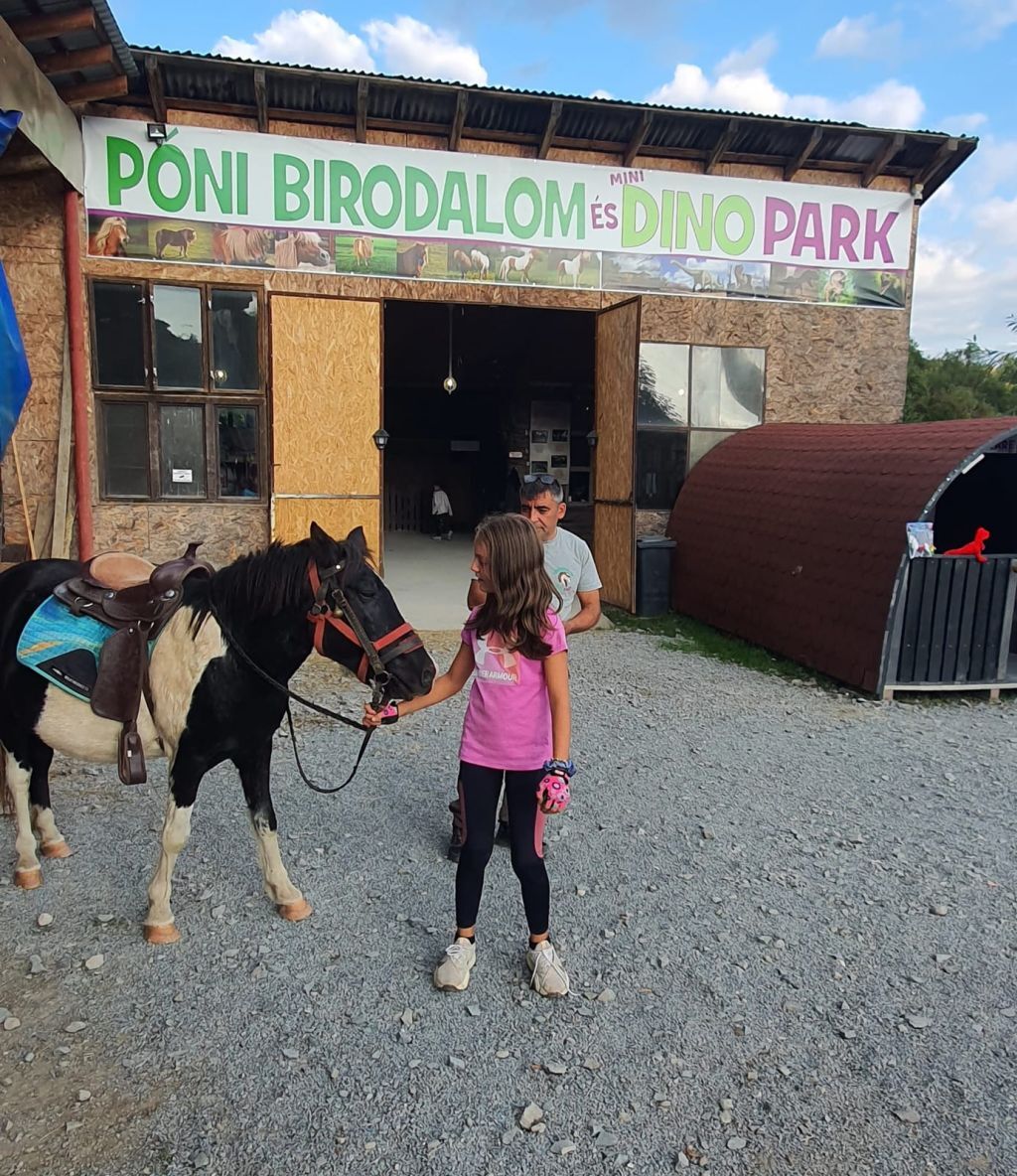 Póni birodalom és mini dinó park - Képek, Leírás, Vélemények - Szallas ...