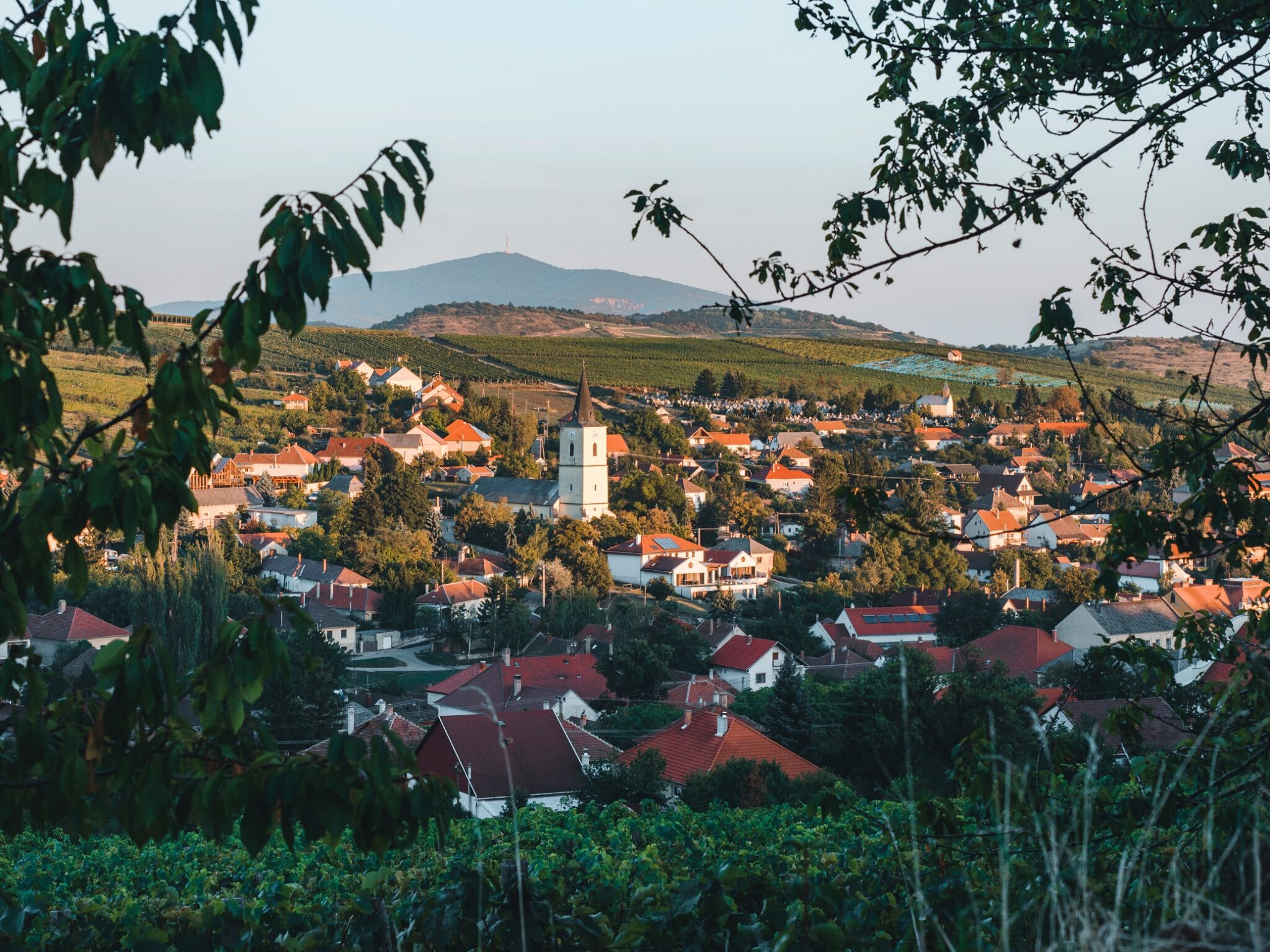 Golop templomok - Vendégvélemények, képek, leírások - Szallas.hu programok